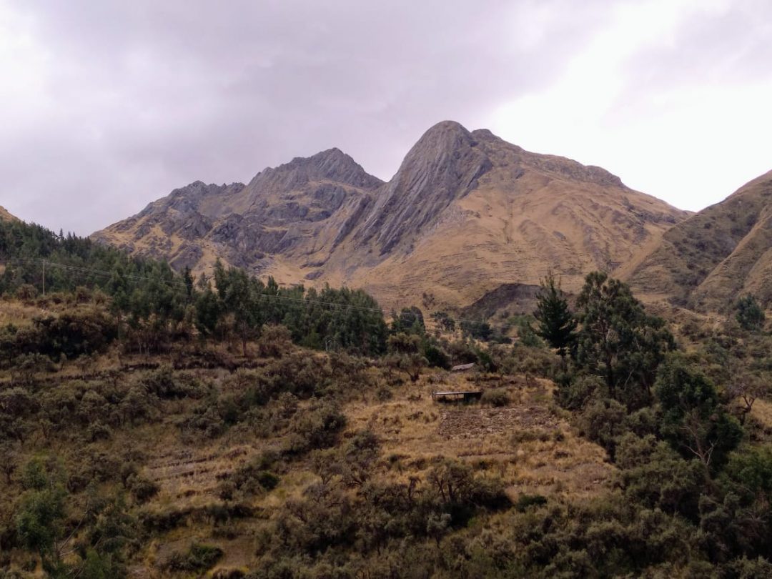 Diario de un botánico enamorado: Parque Tunari - Economato Macabeo